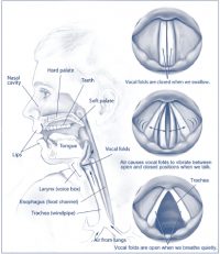 How to Fix a Raspy Singing Voice Fast